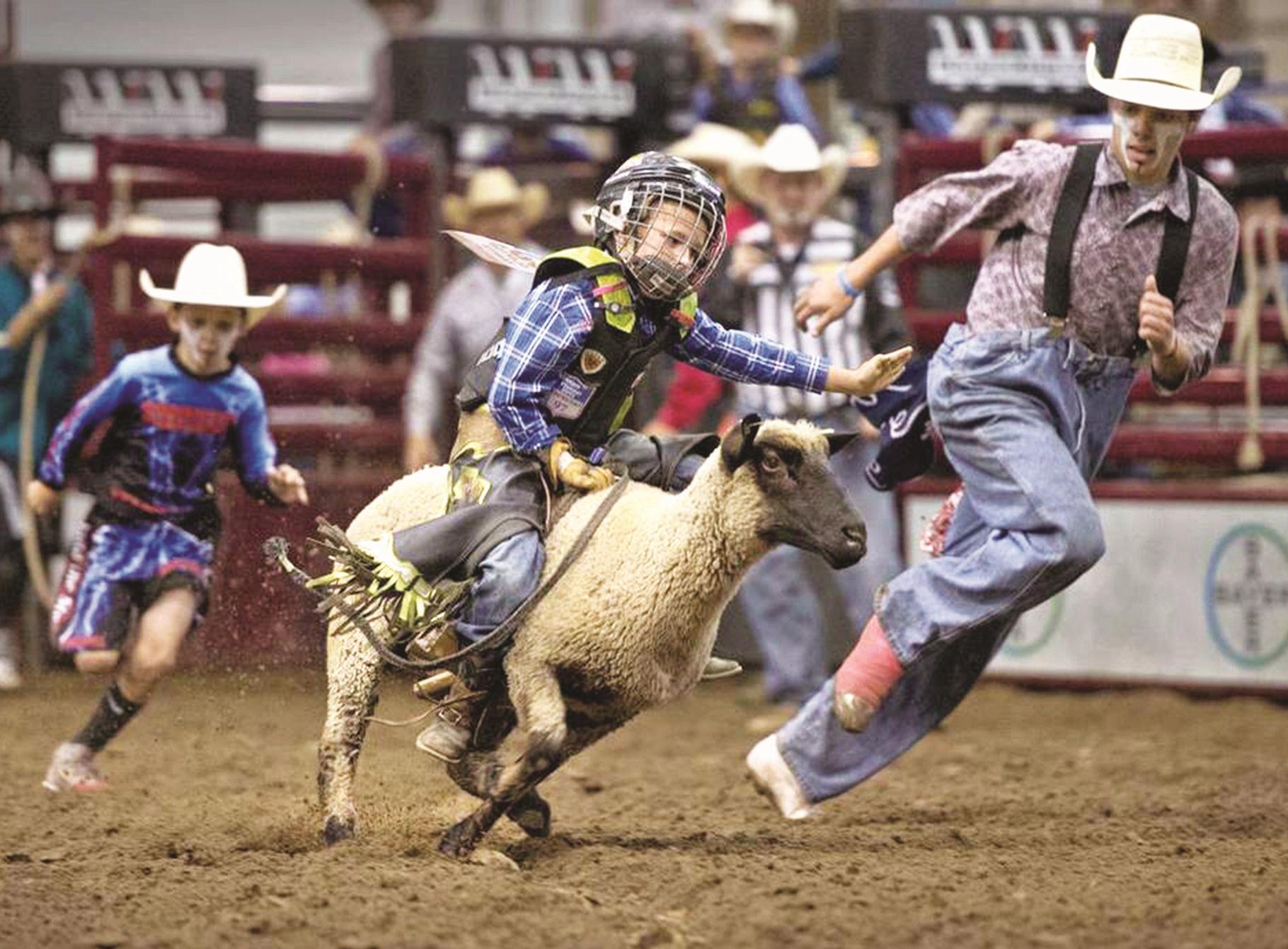 Rodeo concludes Saturday at Licking - Houston Herald