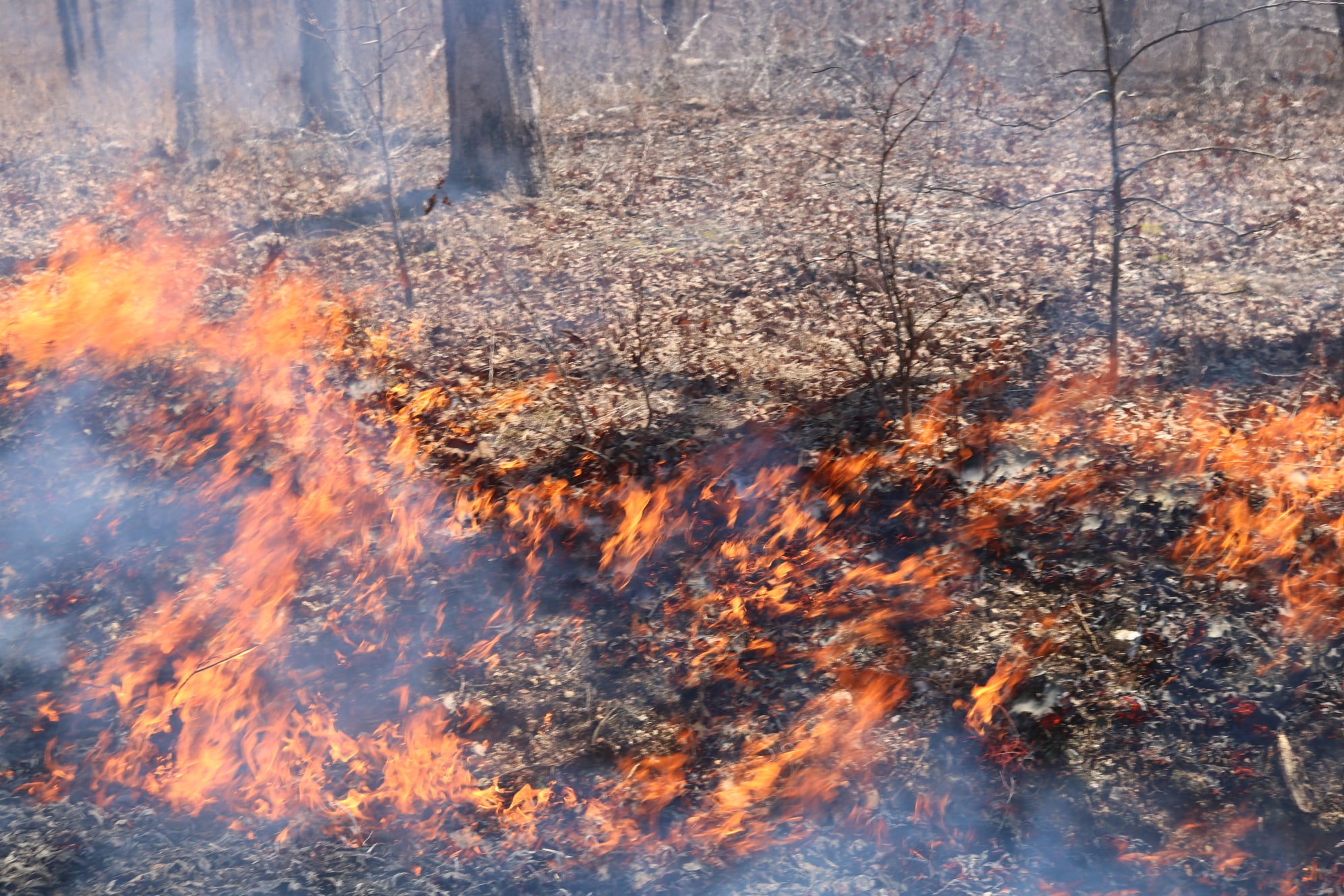 Weather Service: Elevated fire risk today for region; outside burning ...