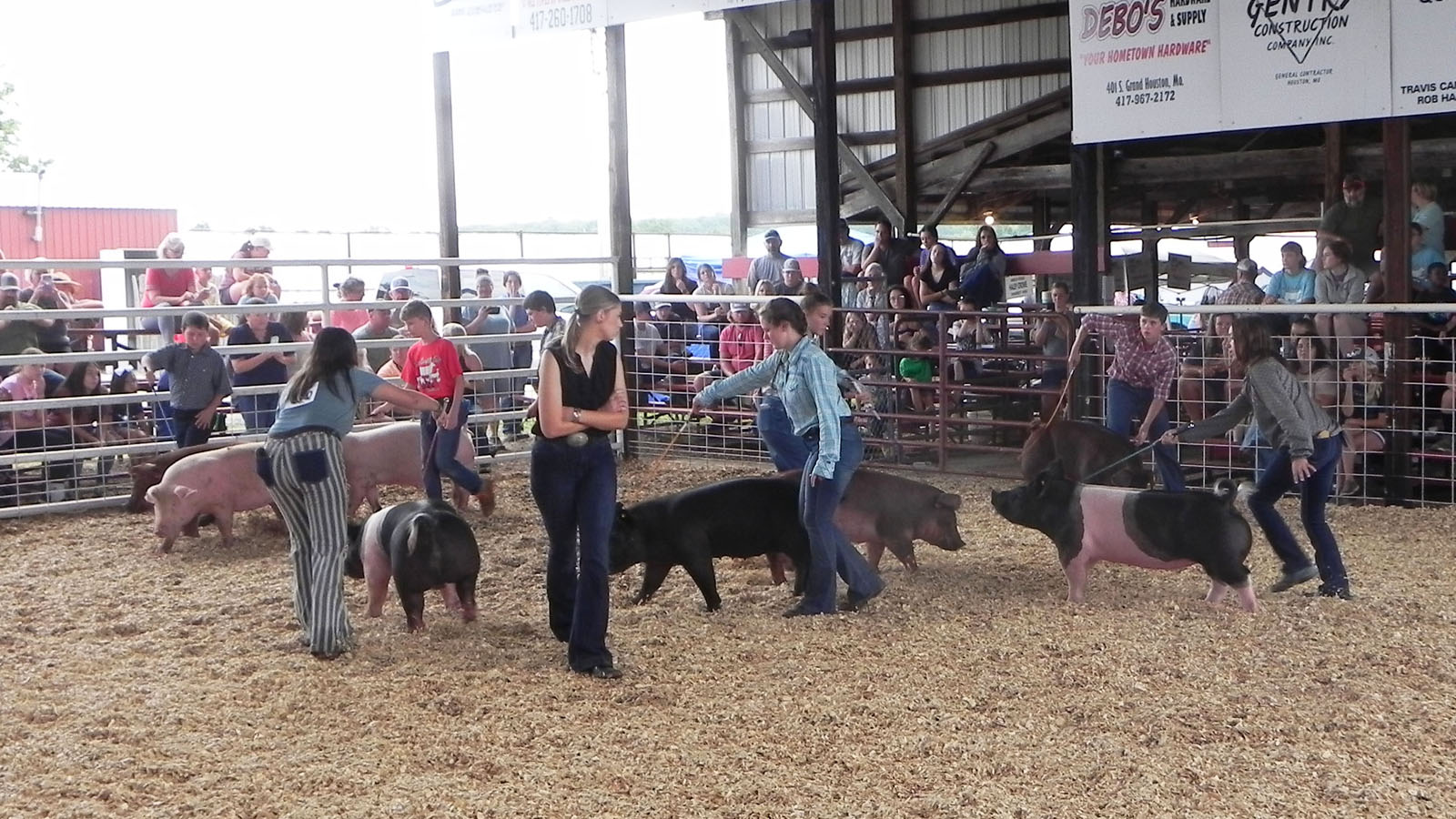 Texas County Fair underway in Houston - Houston Herald