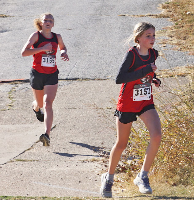 HHS boys win again at Ava meet - Houston Herald