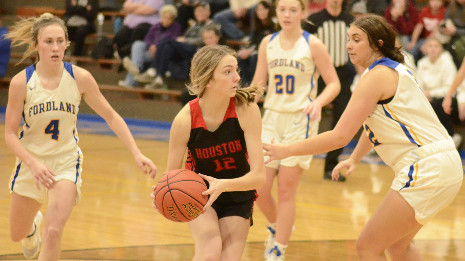 Five HHS basketball players receive All-SCA recognition - Houston Herald