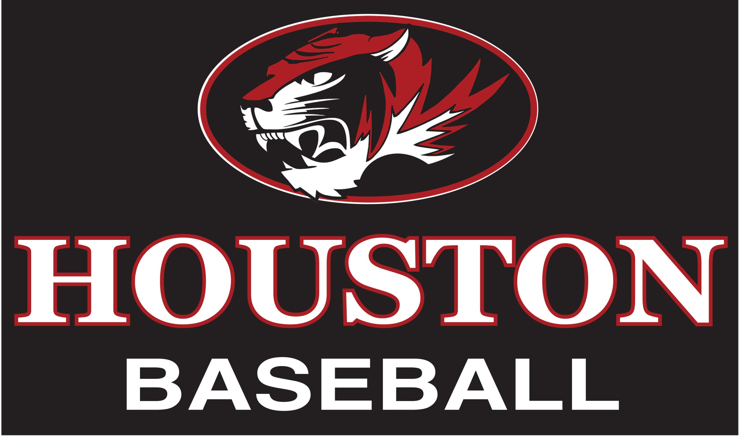 Three HHS baseball players receive All-State recogniton - Houston Herald