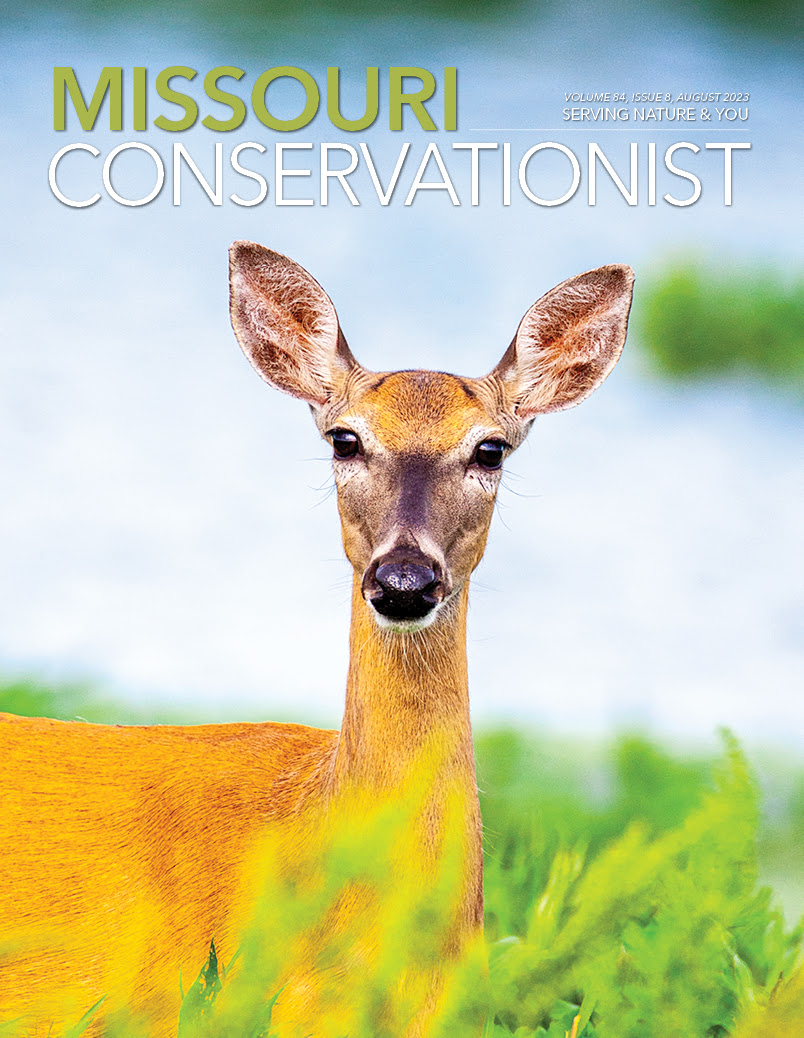 The September 2023 Missouri Conservationist magazine - Houston Herald