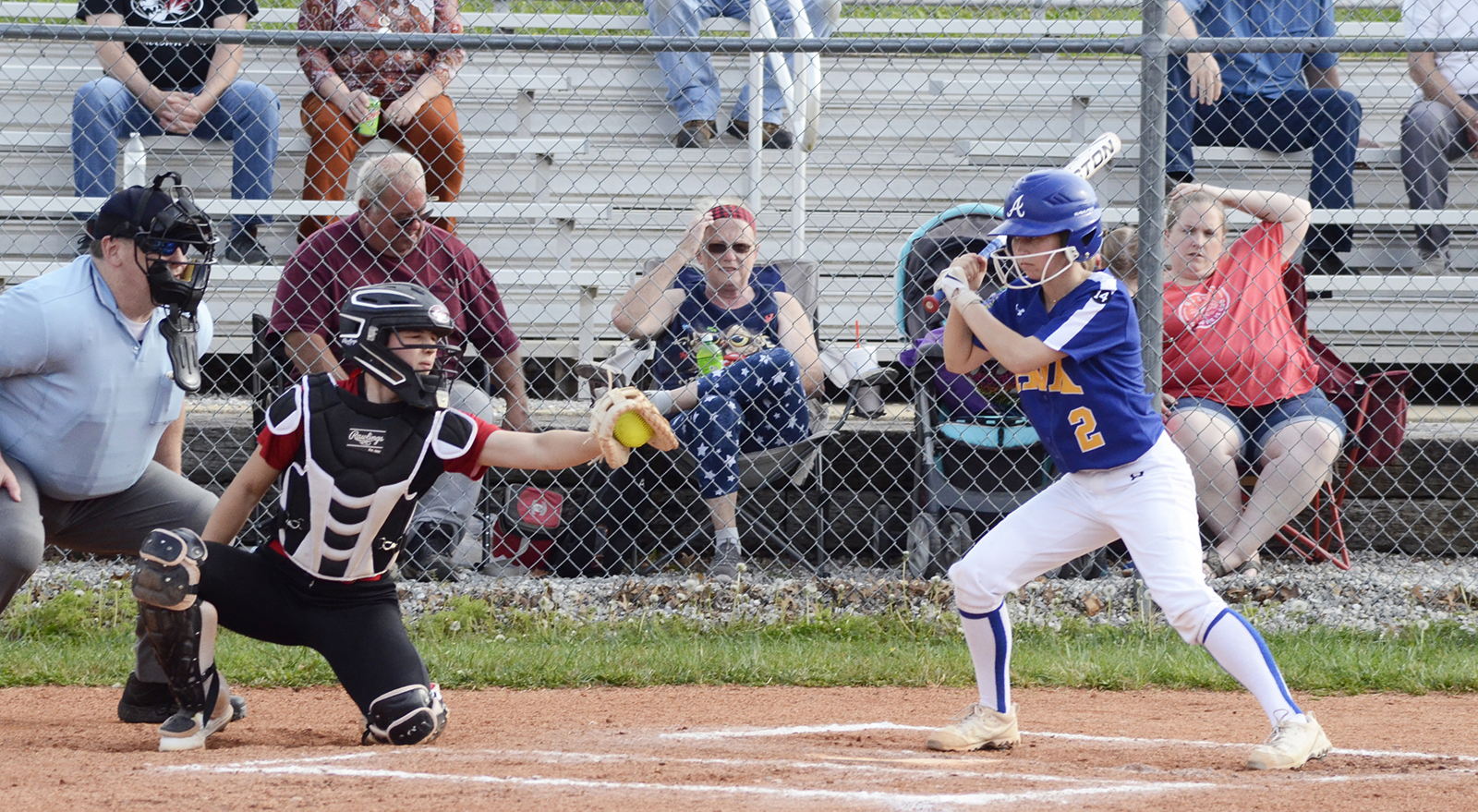 PHOTOS: HHS softball vs. Ava - Houston Herald