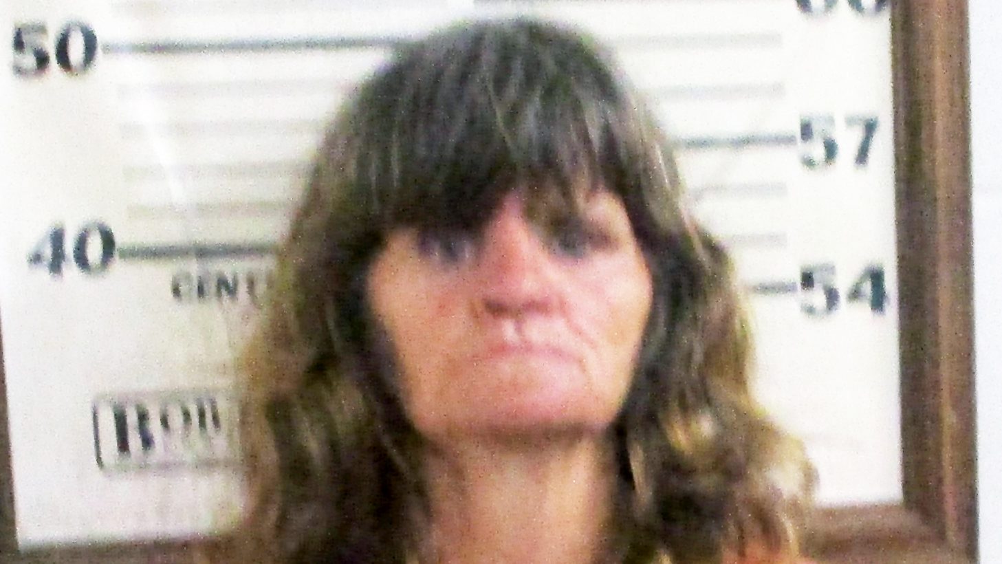 Houston woman charged after alleged assault with broom - Houston Herald