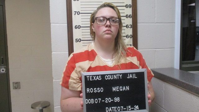 Woman charged after she and her son test positive for meth - Houston Herald