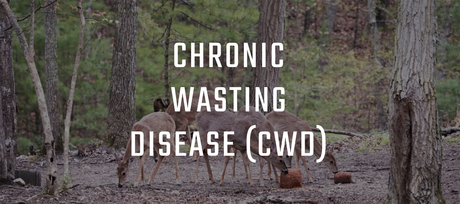 Conservation department CWD meeting tonight in Texas County - Houston ...