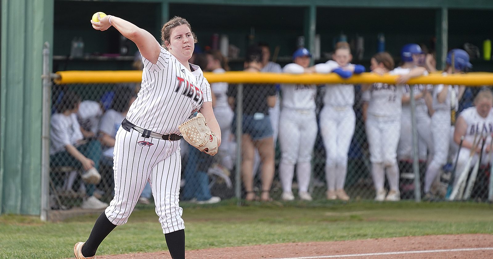 HHS softball, baseball players make All-SCA list - Houston Herald