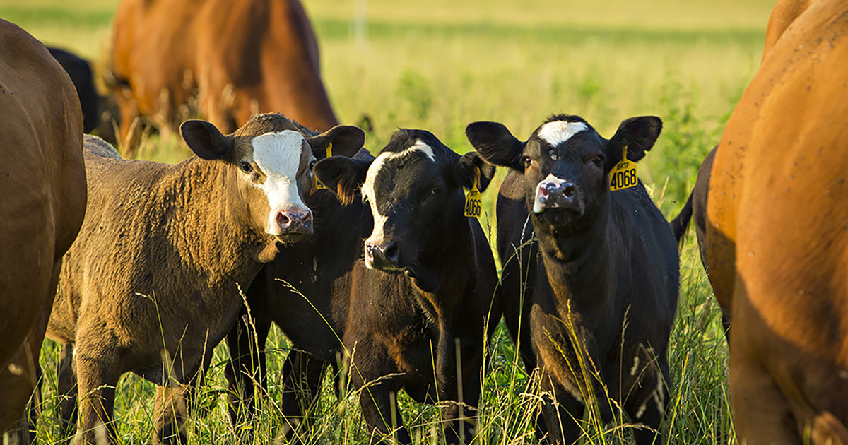 Popular banking program benefiting county farmers, businesses to open ...