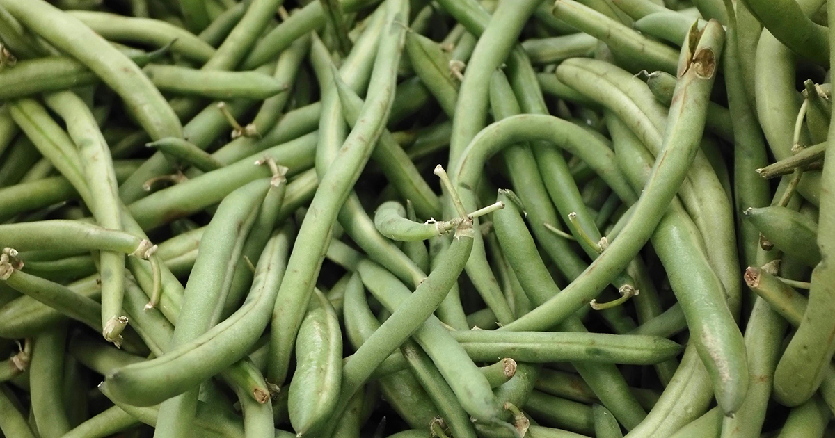 Farmers market opens at Roby - Houston Herald